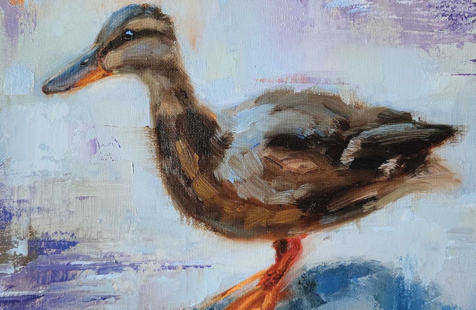 Free Bird (Issue 145)