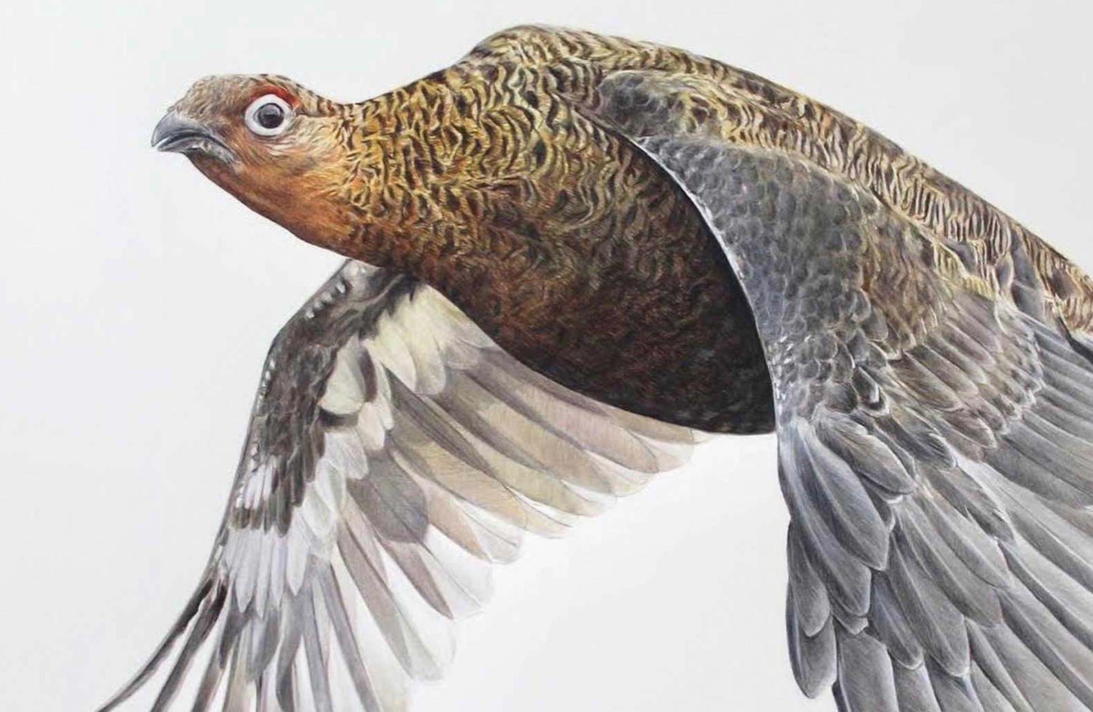 Zoe Fitchet: Sharpened focus (Issue 147)