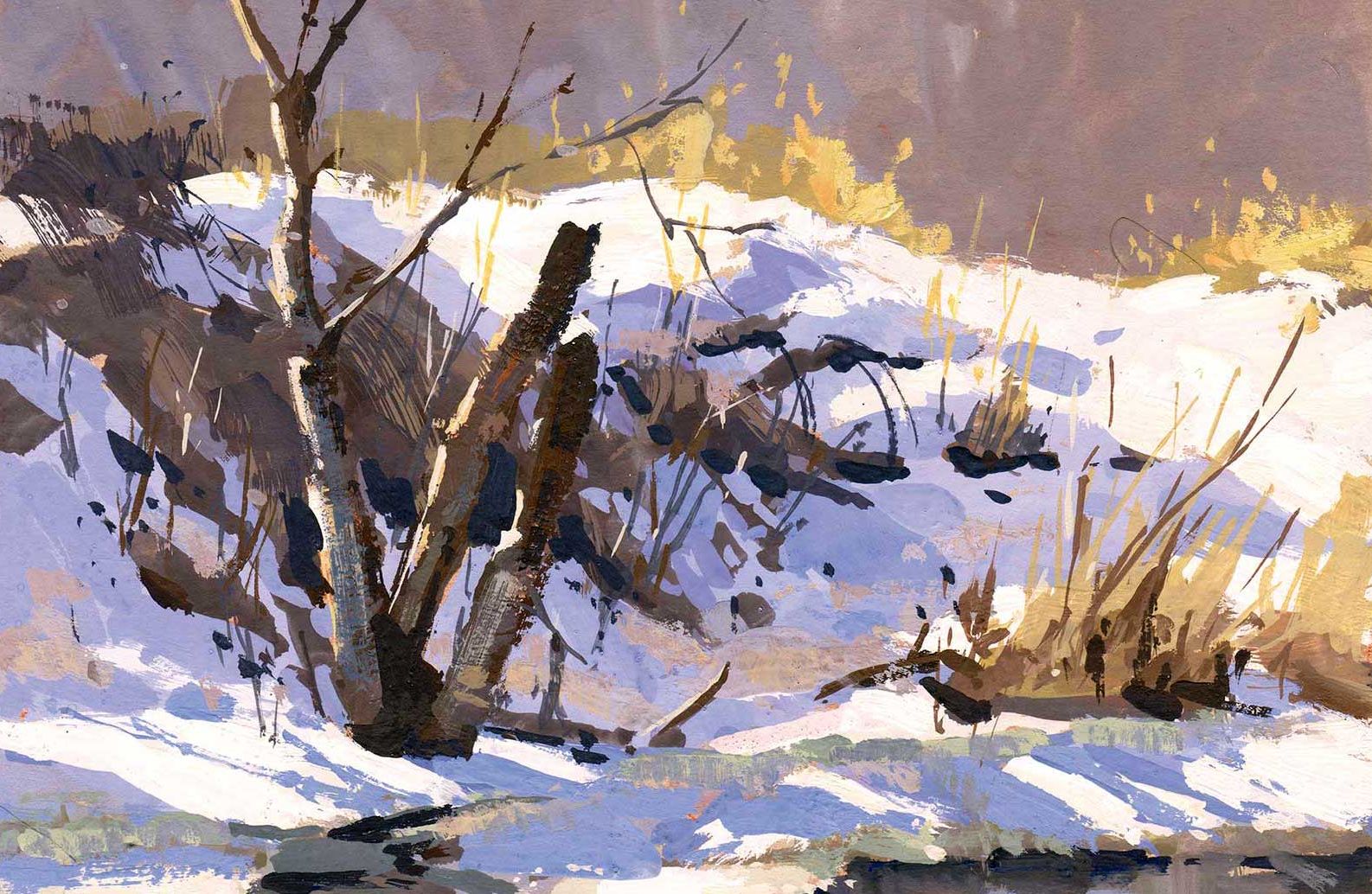 In the Field (Issue 154)