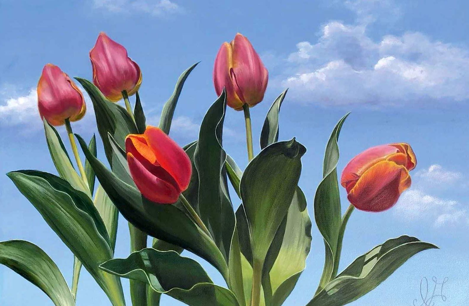 Creative Spark Issue 159