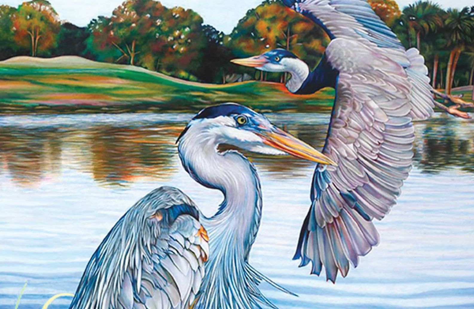 Creative Spark (Issue 160)